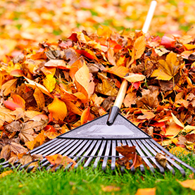 Tips for Raking Leaves in Gainesville, FL